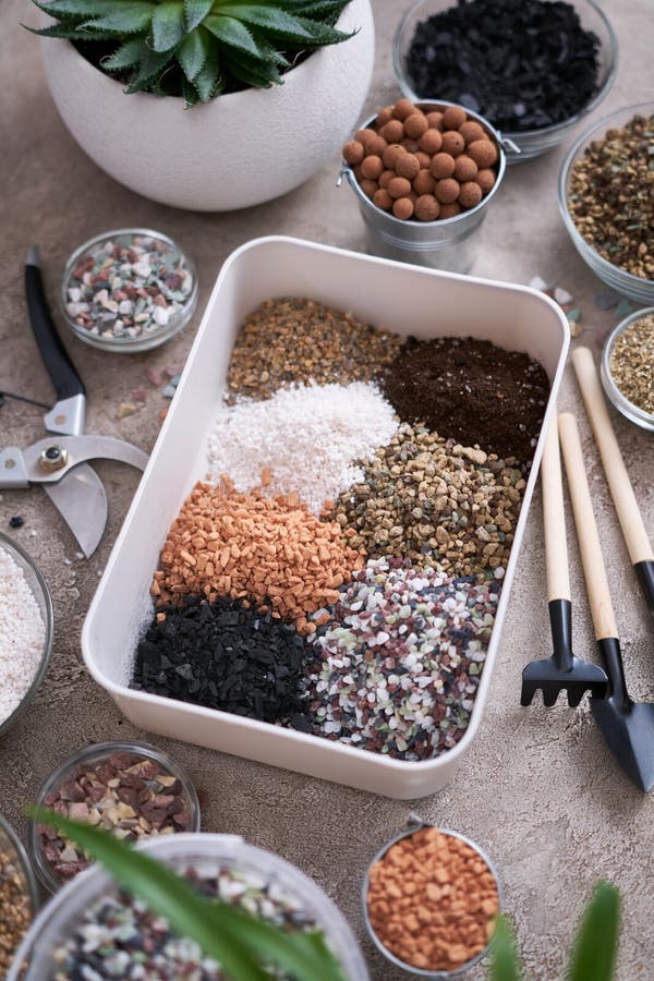 Plastic Box for Soil Substrate Preparation for Transplanting ...