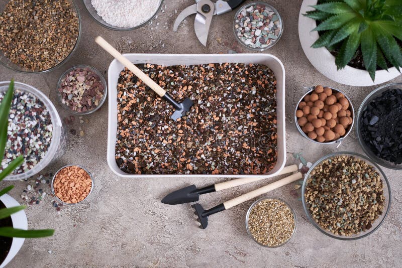 Plastic Box for Soil Substrate Preparation for Transplanting ...