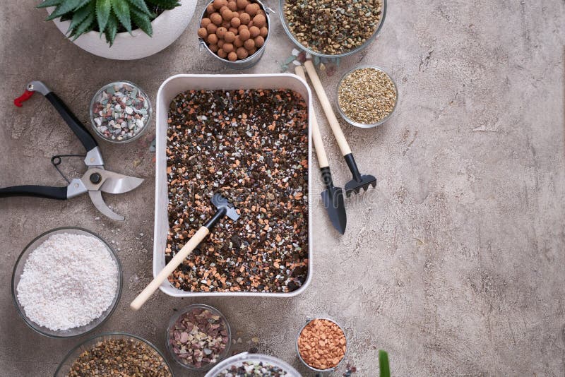 Plastic Box for Soil Substrate Preparation for Transplanting ...