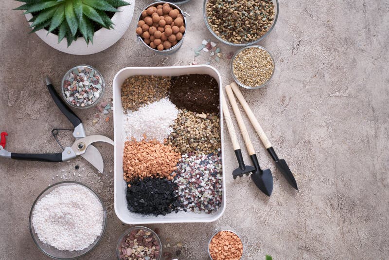 Plastic Box for Soil Substrate Preparation for Transplanting ...