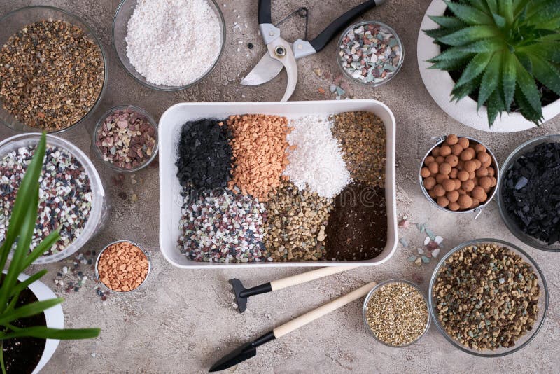 Plastic Box for Soil Substrate Preparation for Transplanting ...