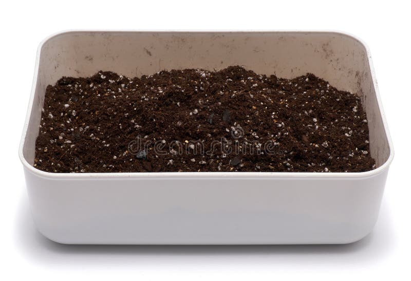 Plastic Box with Substrate Soil for Transplanting Houseplants Isolated ...