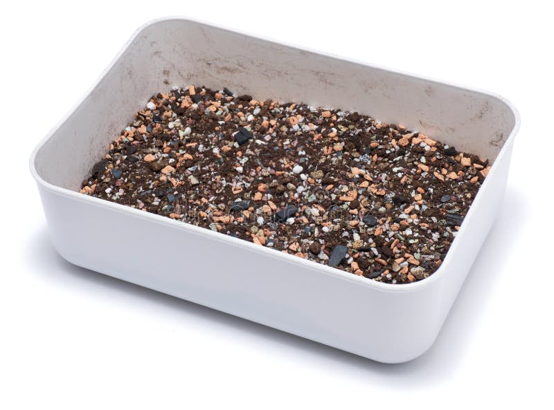 Plastic Box with Substrate Soil for Transplanting Houseplants Isolated ...