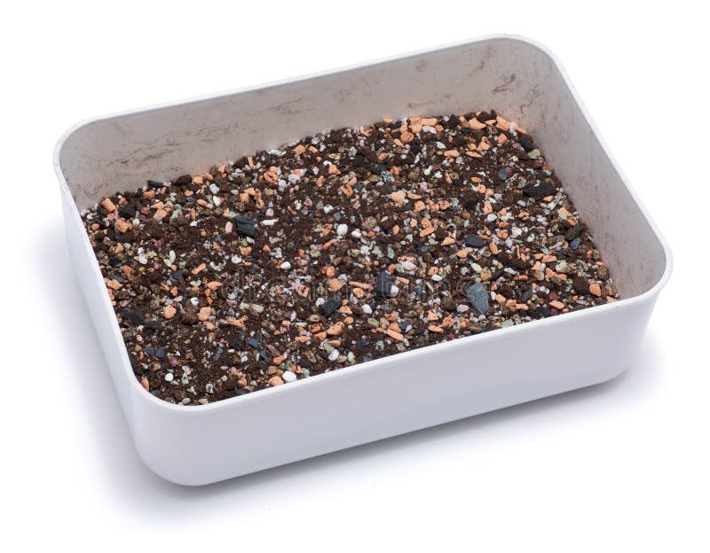 Plastic Box with Substrate Soil for Transplanting Houseplants Isolated ...
