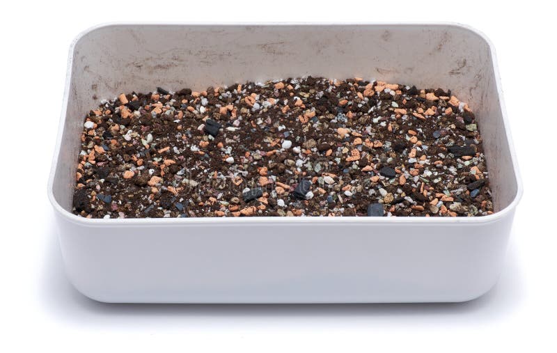 Plastic Box with Substrate Soil for Transplanting Houseplants Isolated ...