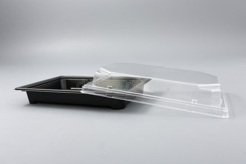 Plastic Box with Transparent Cover for Food Stock Photo - Image of ...