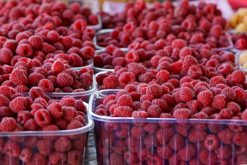 Plastic Boxes Full of Red Ripe Raspberries on a Table Stock Image ...