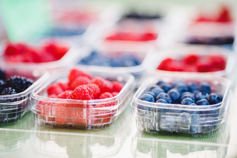 Blueberries in a Store Plastic Box Isolated. Blueberry, Forest Blue ...