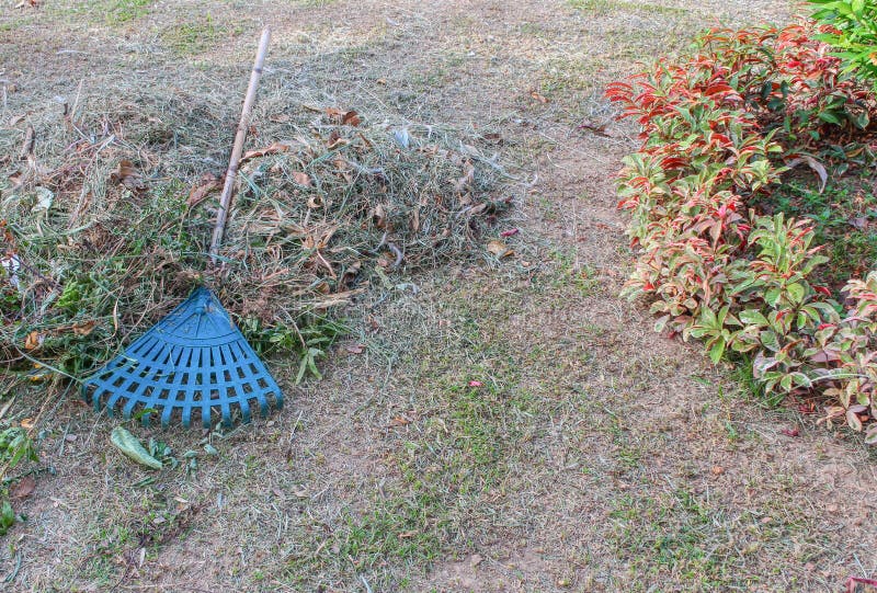 Plastic broom in a garden stock photo. Image of brooming - 83387276