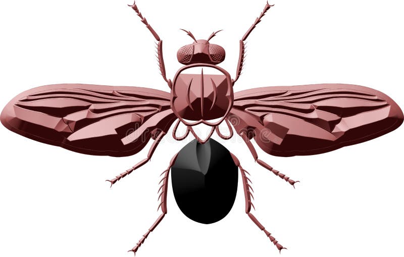 Plastic brown fly stock illustration. Illustration of brow - 231554241