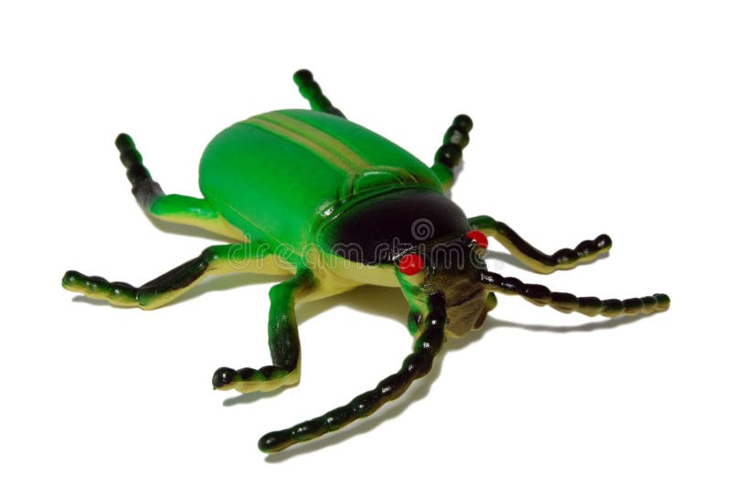 148 Plastic Toy Insects Stock Photos - Free & Royalty-Free Stock Photos ...