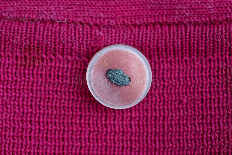 Plastic Button with Black Thread on a Red Cloth Stock Image - Image of ...