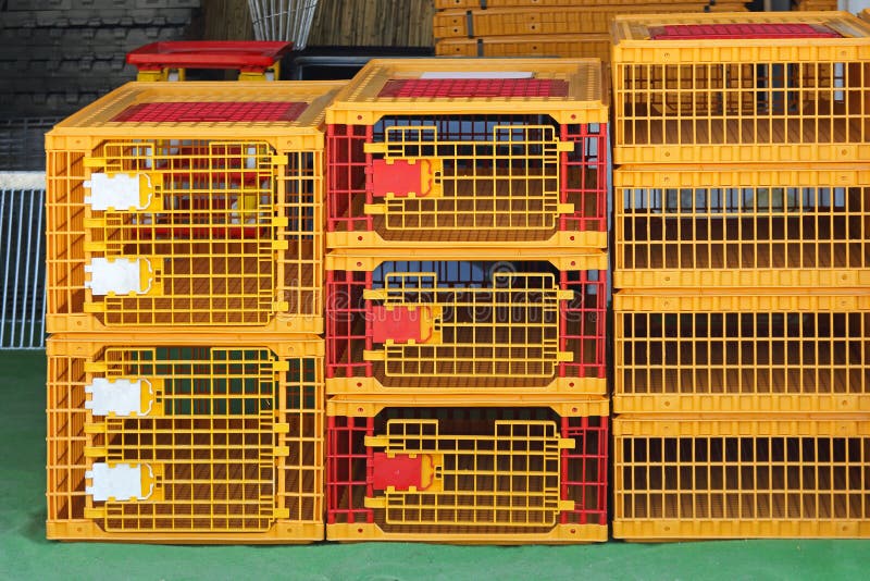Plastic Cages stock photo. Image of plastic, packing - 55905580