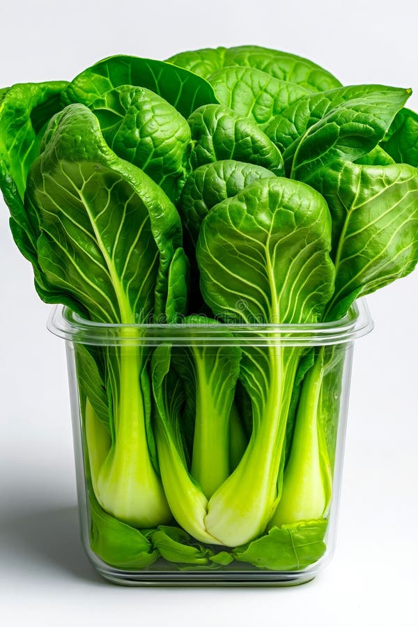 Fresh Green Bok Choy Clear Plastic Container Stock Photos - Free ...