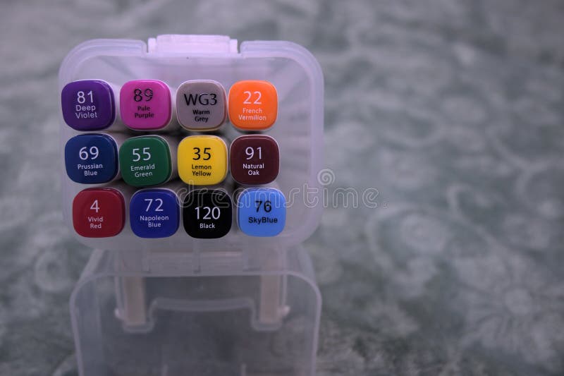 A Plastic Container Holds Twelve Dual-tip Markers Arranged in Four Rows ...