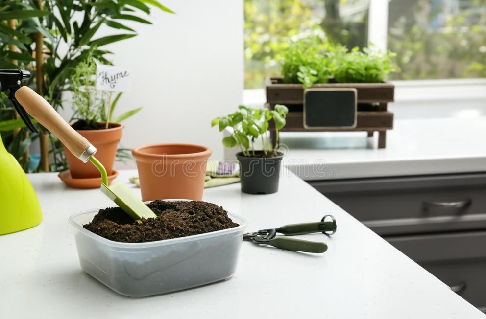 Plastic Container with Soil and Gardening Equipment on White Table ...