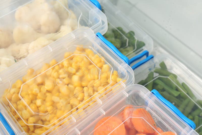 Plastic Containers with Different Frozen Vegetables in Refrigerator ...