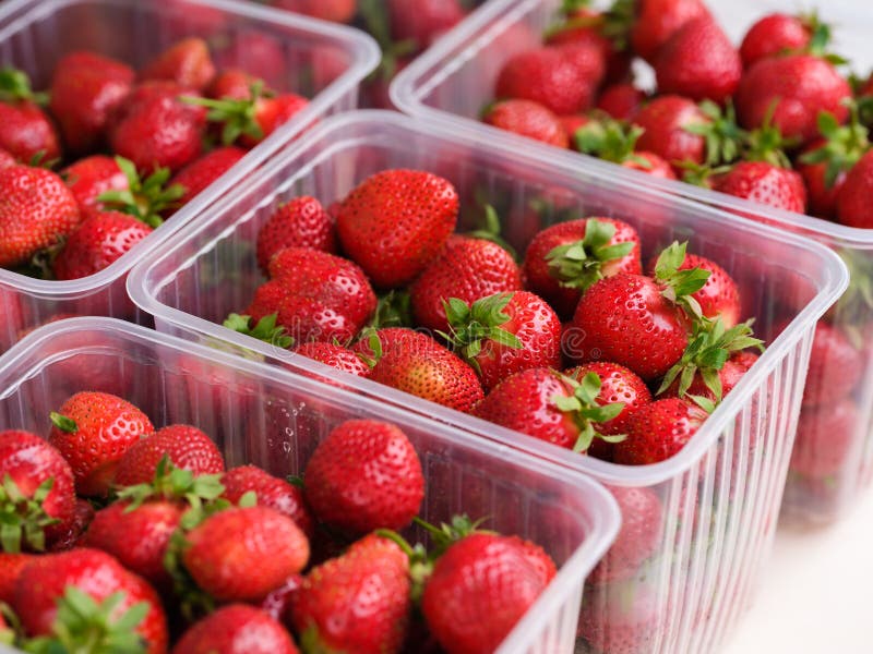 Plastic Containers Full of Organic Red Strawberries Stock Image - Image ...