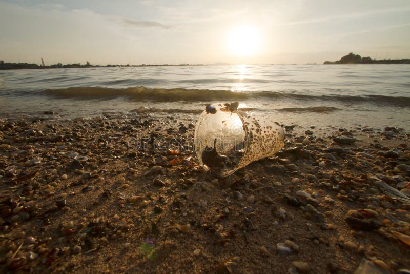 Plastic Cup on Beach Beach and Ocean Pollution Stock Photo - Image of ...
