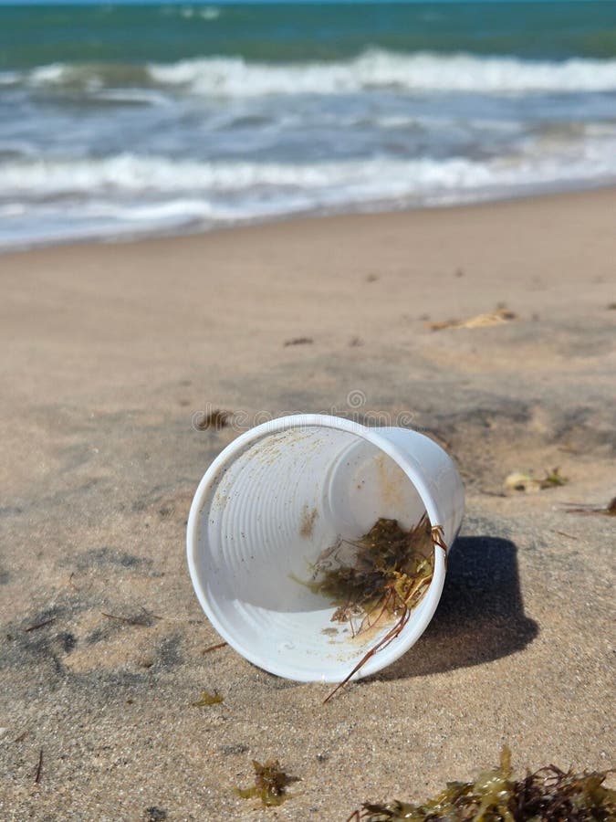 Plastic Cup Discarded on the Beach — a Simple Object, a Lasting Impact ...
