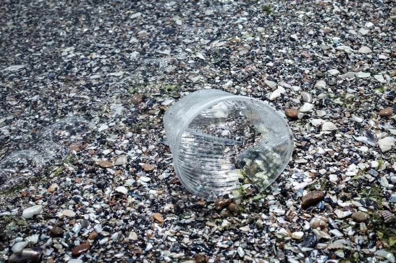 A Plastic Cup Lies on the Shore among Stones and Shells. Plastic ...