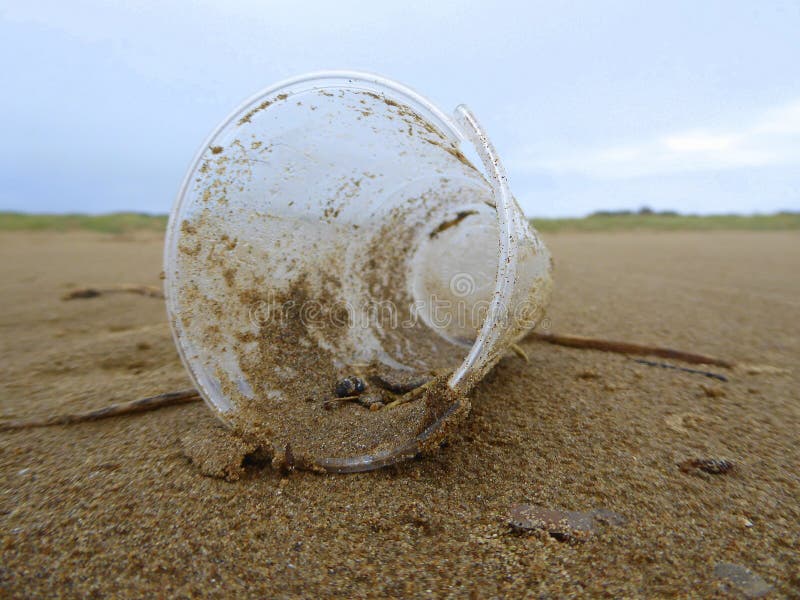 Plastic Cup Litter on Beach Stock Photo - Image of sandy, trash: 129086322