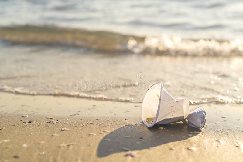 A Plastic Cup Lying on the Beach by the Ocean Stock Photo - Image of ...