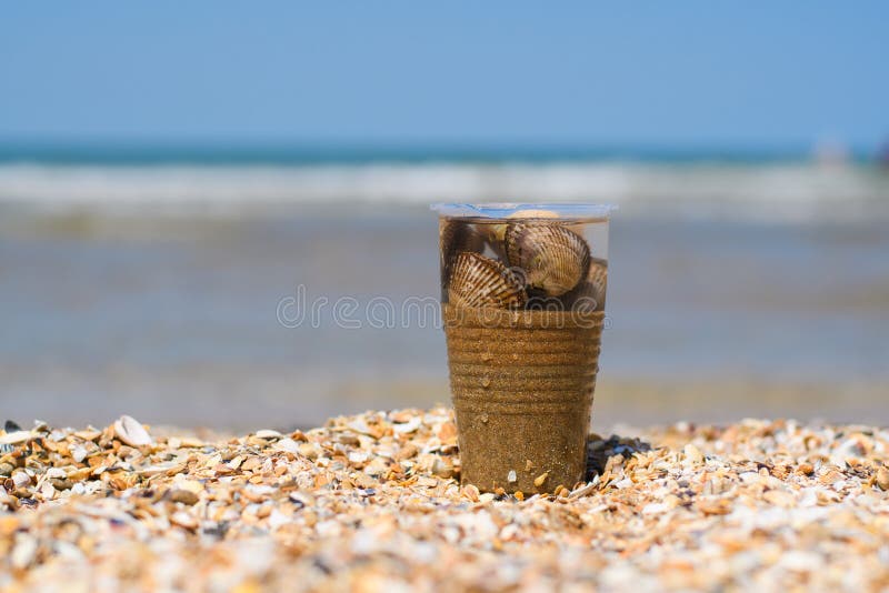 A Plastic Cup with Sand and Live Shells Stands on the Seashore. Stock ...