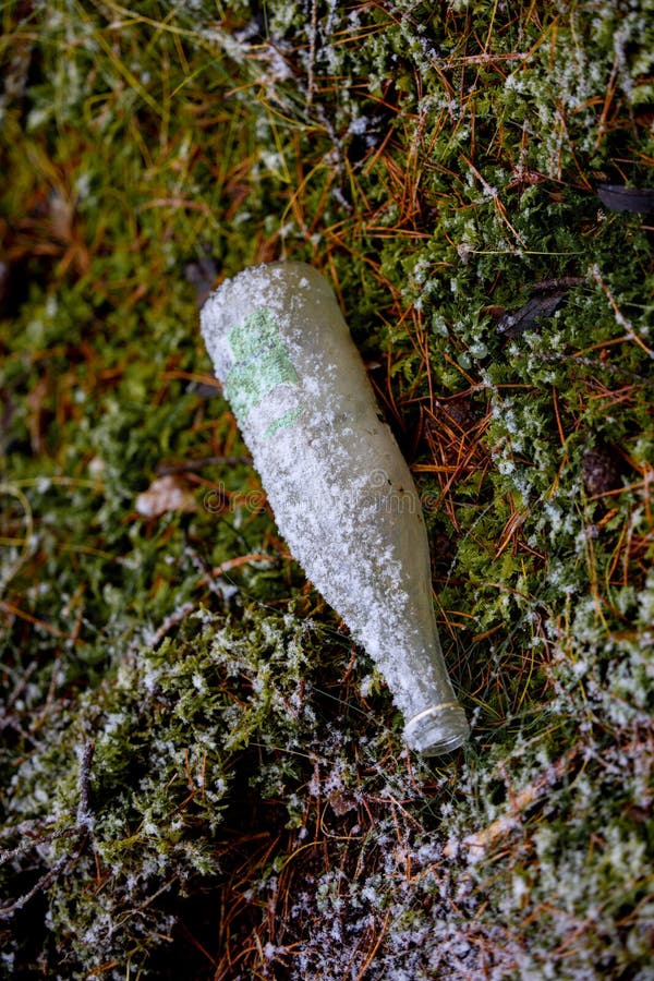 Plastic Cup in the Spring Forest. Plastic Garbage in Nature. Spring ...