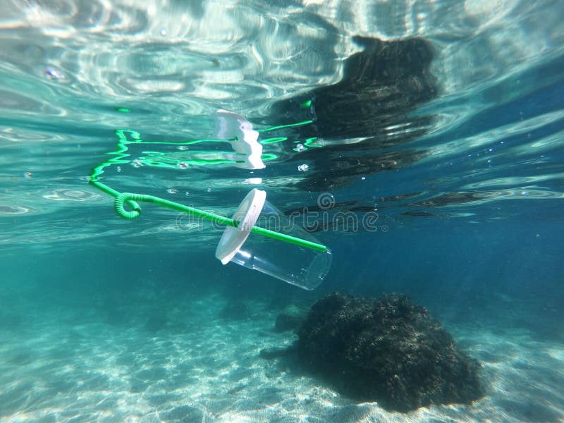 Plastic Cup Submerged in the Sea Stock Image - Image of life, industry ...