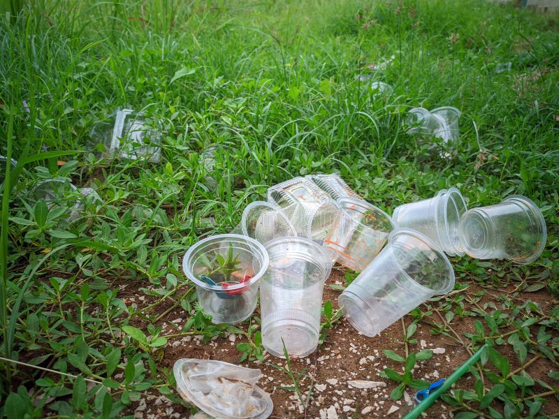 Plastic Cups and Other Plastic Waste are Disposed of Carelessly on ...