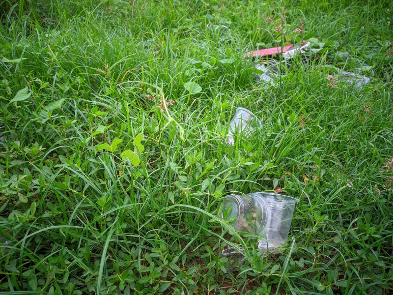 Plastic Cups and Other Plastic Waste are Disposed of Carelessly on ...