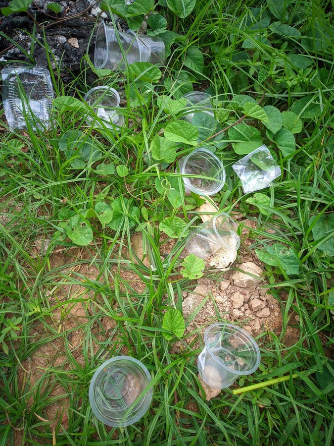 Plastic Cups and Other Plastic Waste are Disposed of Carelessly on ...