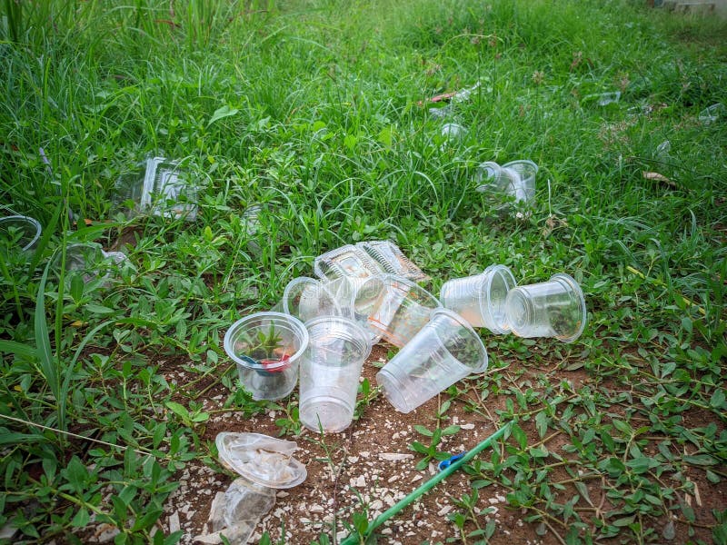 Plastic Cups and Other Plastic Waste are Disposed of Carelessly on ...