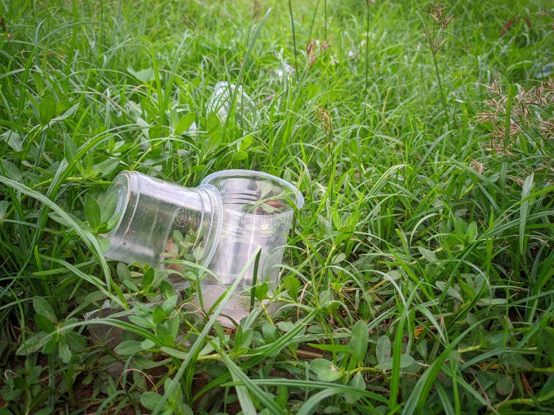 Plastic Cups and Other Plastic Waste are Disposed of Carelessly on ...
