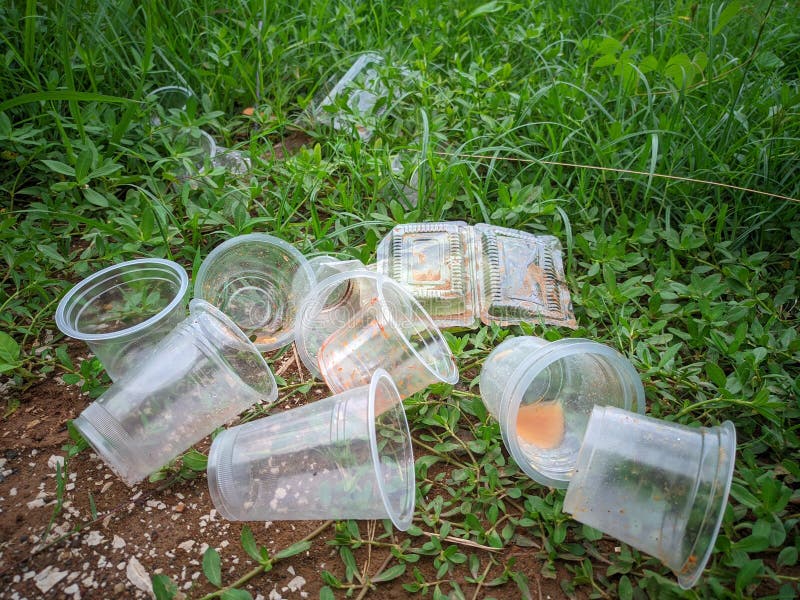 Plastic Cups and Other Plastic Waste are Disposed of Carelessly on ...