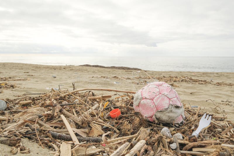 Plastic Debris Waste Pollution Trashed on Sea Coast Ecosystem ...