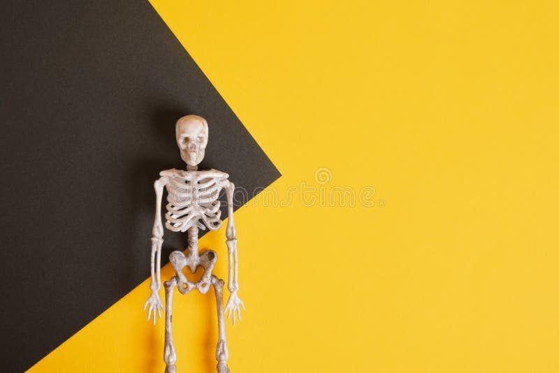 Plastic Decorative Skeleton on Black and Yellow Background Copy Space ...