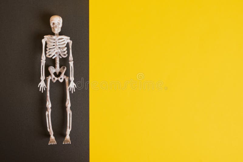 Plastic Decorative Skeleton on Black and Yellow Background Copy Space ...