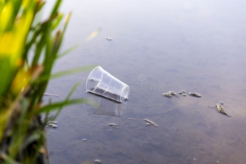 A Plastic Disposable Cup Was Thrown into the River. Pollution of Nature ...