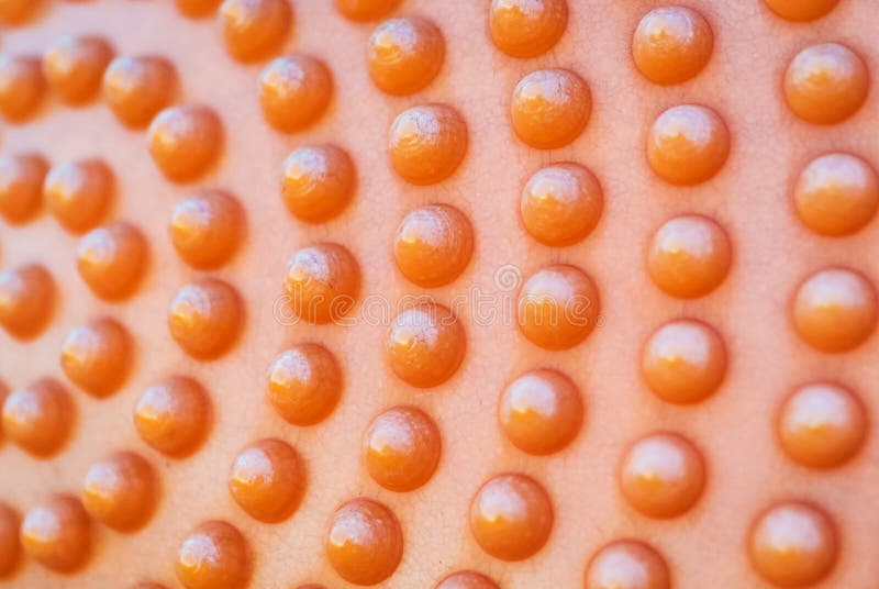 Plastic dots stock photo. Image of circle, language, pattern - 46205560