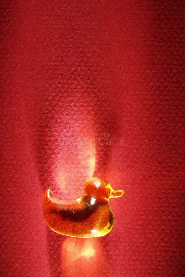 Plastic Duck stock image. Image of refraction, ducky, bath - 4177397