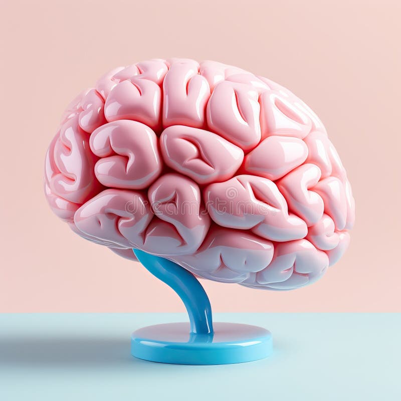 Plastic Dummy, Model of Human Brain Stands on Table Against Pastel ...