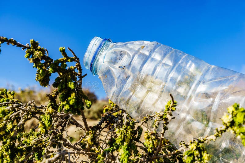 Plastic Empty Water Bottle Abandoned on Nature Stock Photo - Image of ...