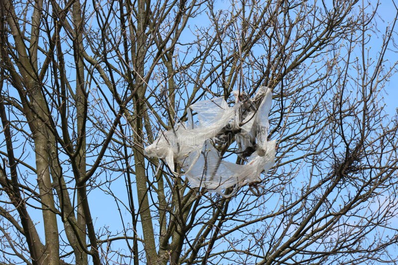 Plastic in Everywhere, Plastic Bag in the Air, on the Tree, Problem in ...