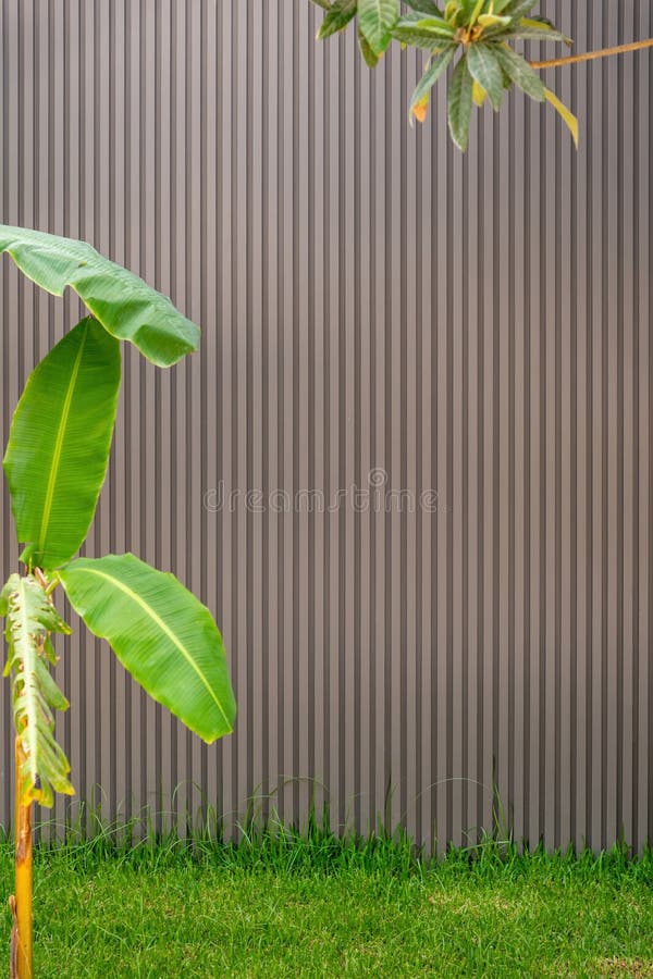 Plastic Exterior Panel Cladding Wall with Green Leaves in Front Stock ...