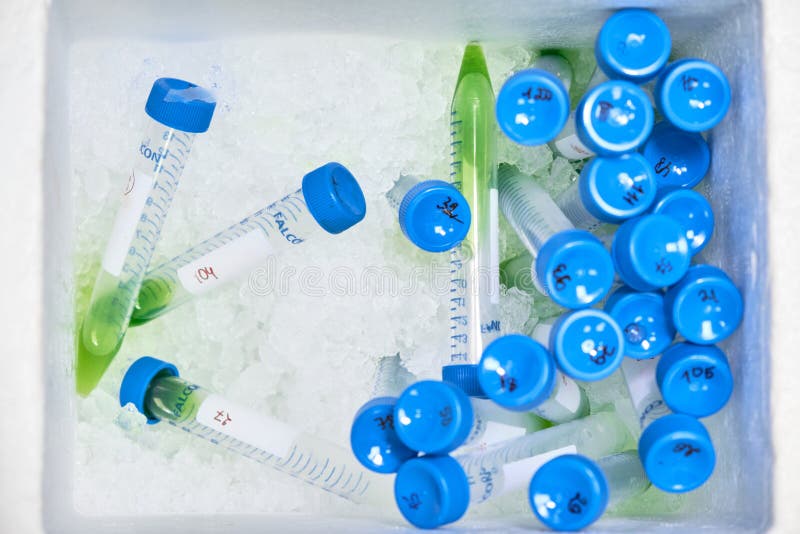 Plastic Falcone Test Tubes with Green Liquid Keep in the Ice. Sample ...