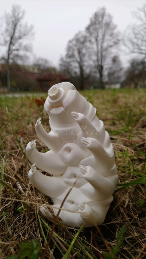 Plastic Figure of Water Bear Tardigrada Milnesium Tardigradum Stock ...