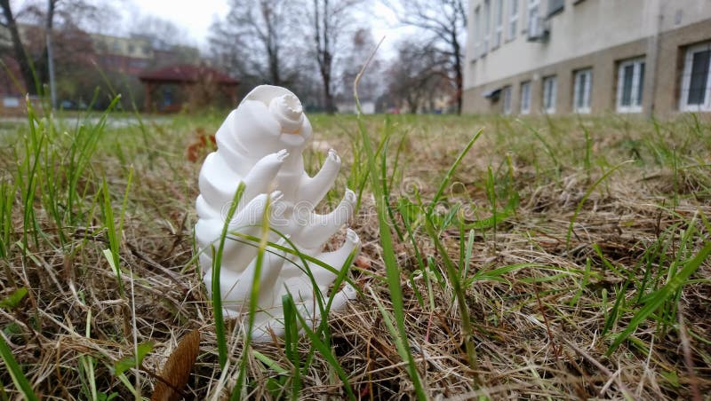 Plastic Figure of Water Bear Tardigrada Milnesium Tardigradum Stock ...