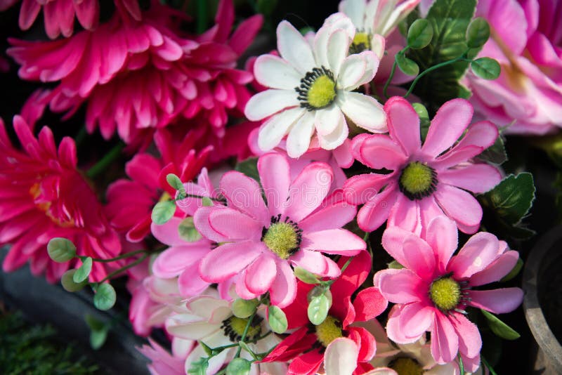 Plastic flower stock image. Image of blossom, flower - 197886847